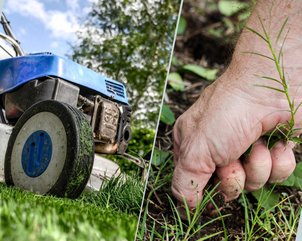 Service Packages. – Spark & Trim